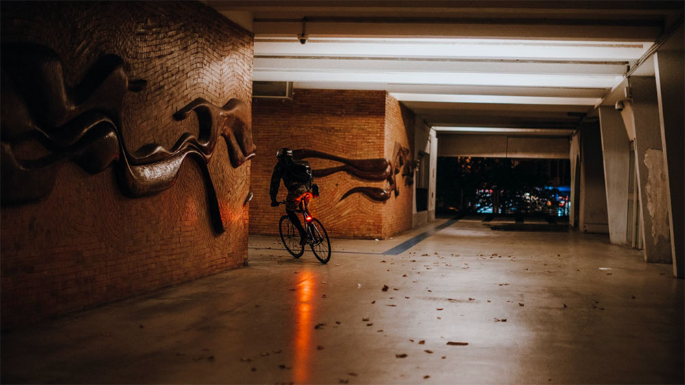 SELON JOY - Quasar Studio